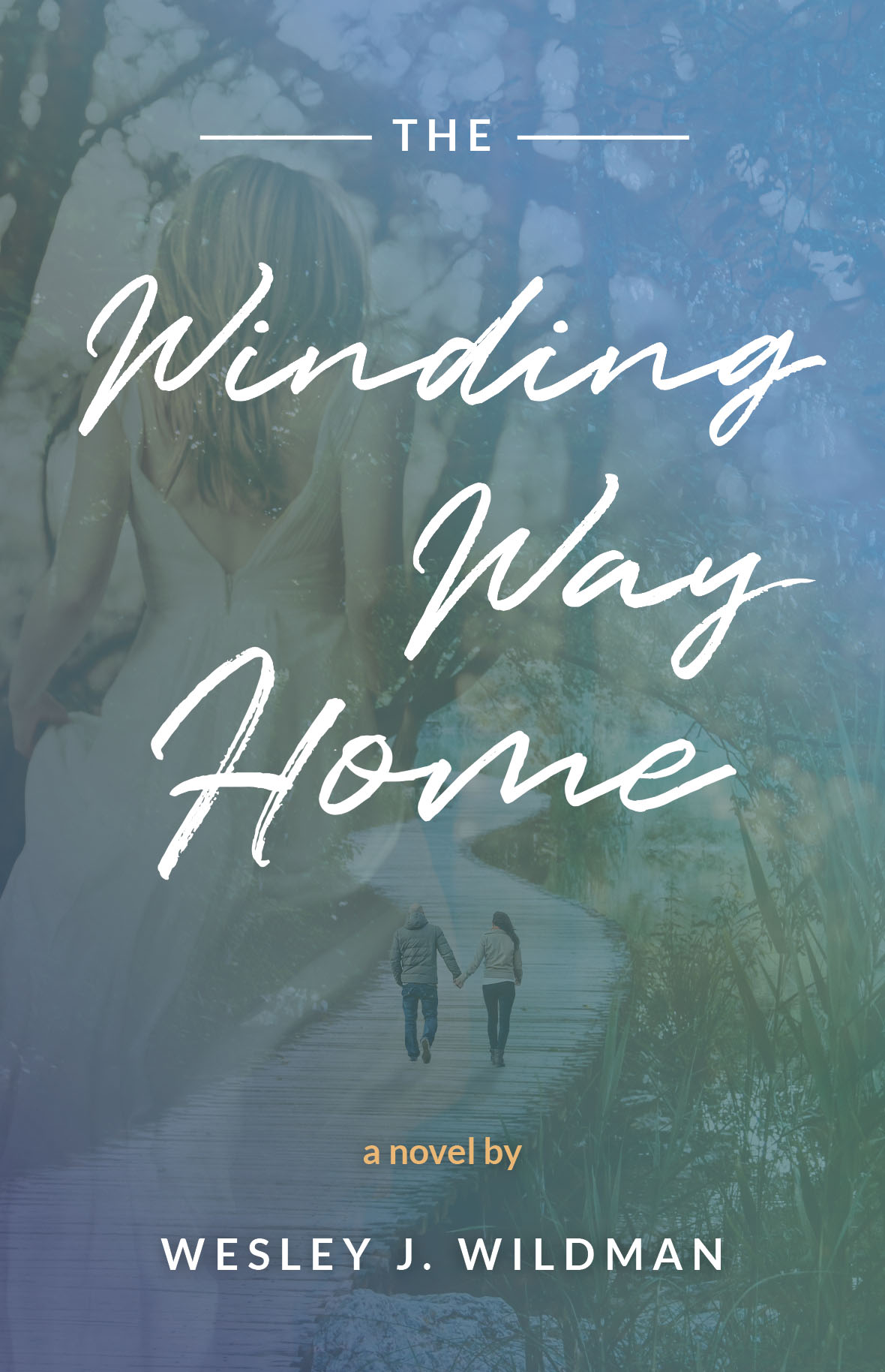 Wesley Wildman's Home Page | from unambiguous nothing to ambiguous ...